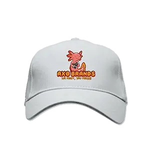 Custom Direct to Film Transfers Chicago Illinois, DTF Printing Service ...